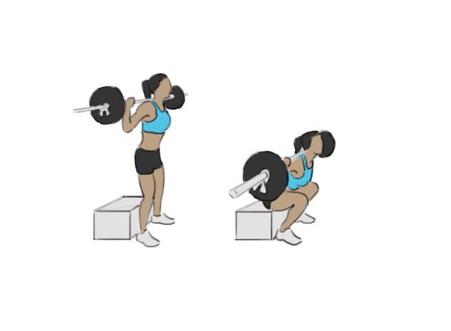 Barbell Box Squats GoFitnessPlan