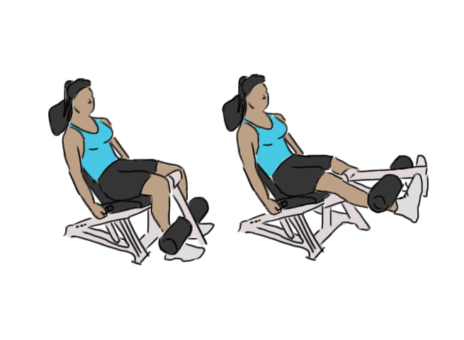 Seated Leg Extension At Home How To Make Leg Extensions PBCYJ