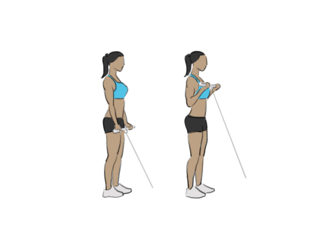 Standing Biceps Cable Curls Gofitnessplan